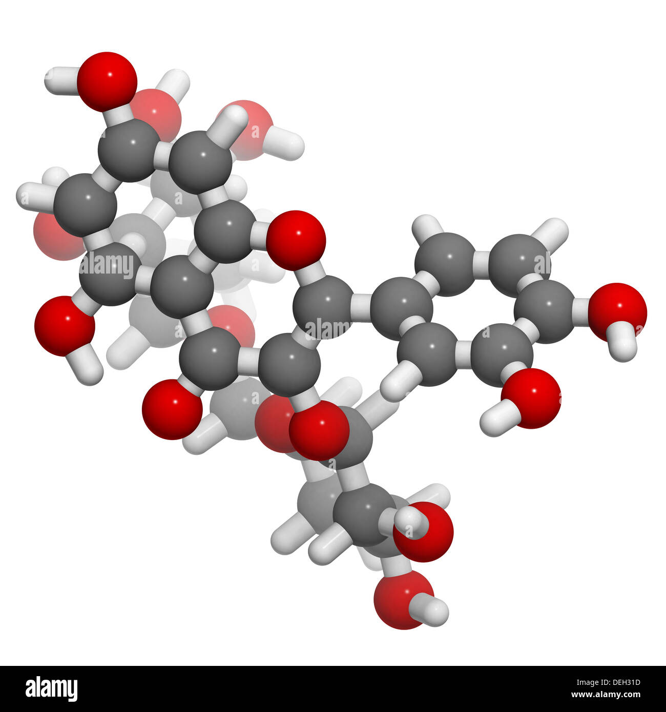 Rutin (rutoside, sophorin) molecule, chemical structure. Believed to ...