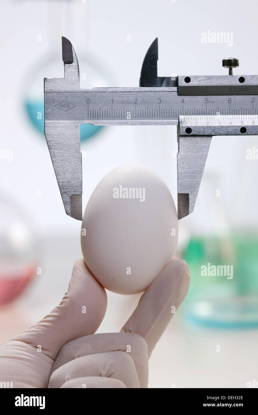 Still life showing eggs hi-res stock photography and images - Alamy