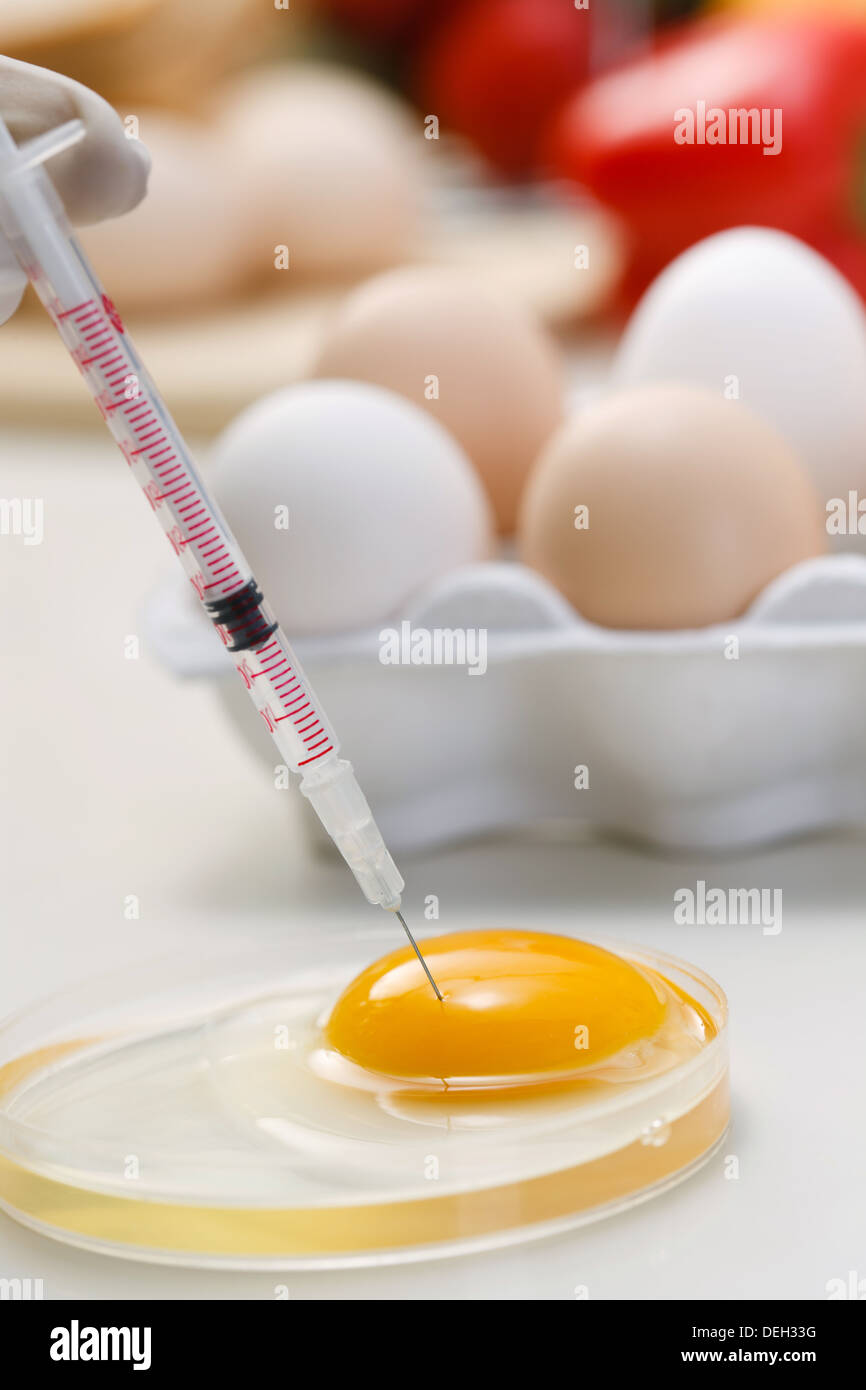 Injecting egg yolk with injector Stock Photo - Alamy