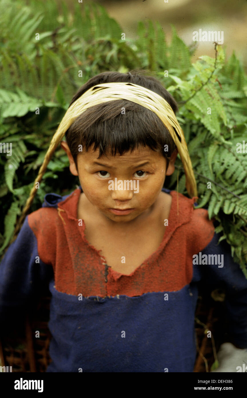 nepal, himalaya, people, village, asia, tourism, nepalese, person ...