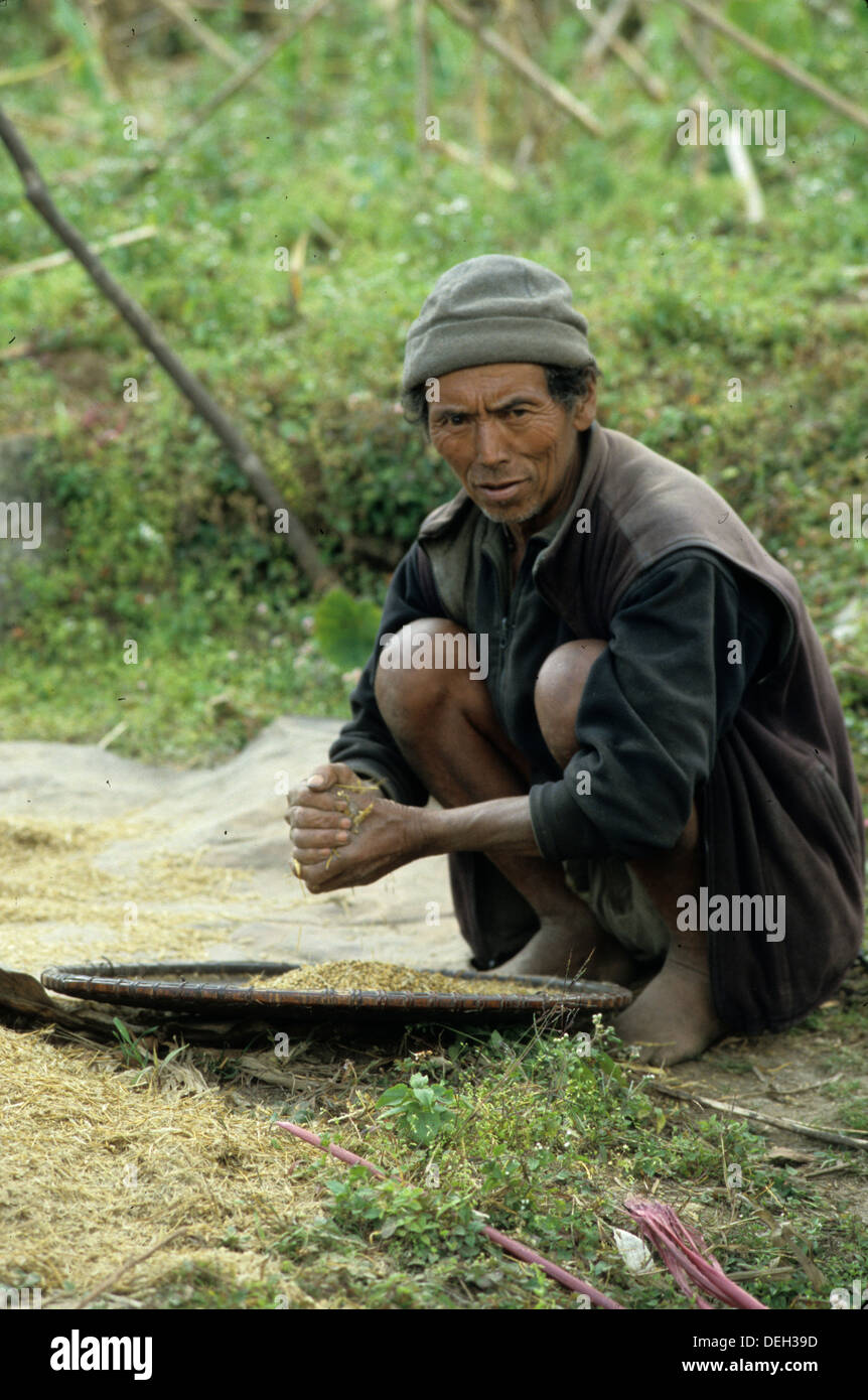 nepal, himalaya, people, village, asia, tourism, nepalese, person ...