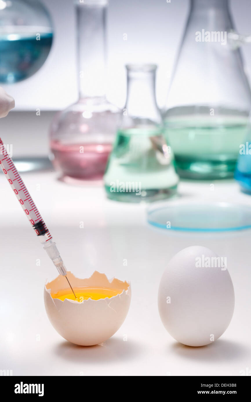 Syringe injection of eggs Stock Photo - Alamy