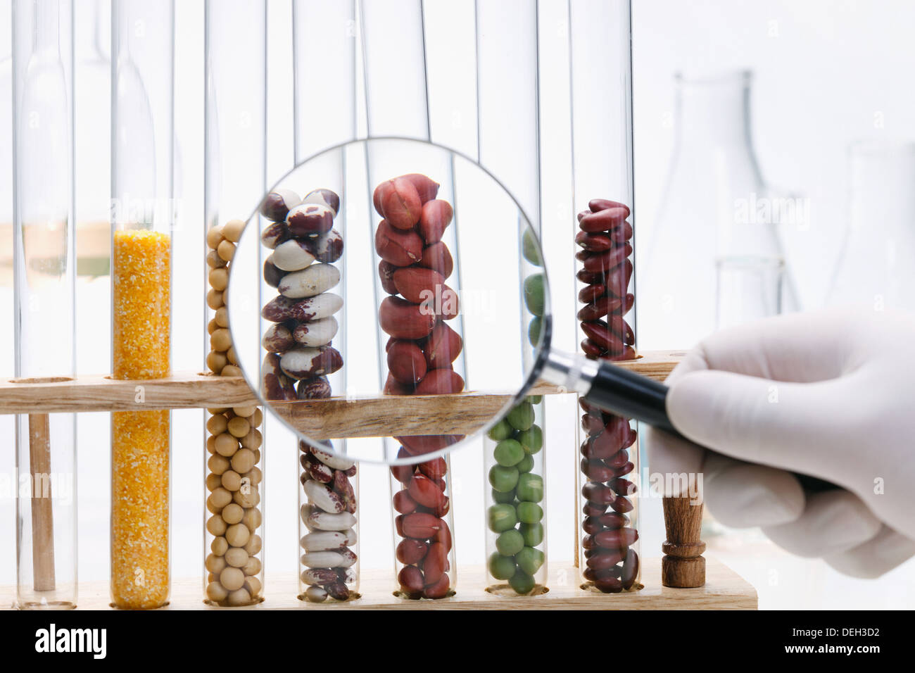 Grains in test tube in laboratory Stock Photo - Alamy