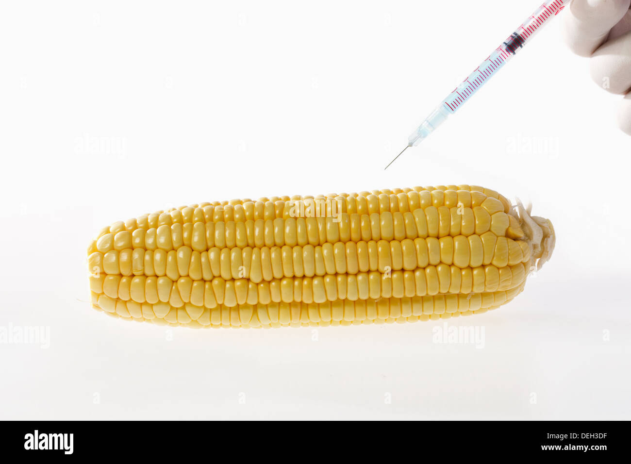 Scientist giving corn an injection by syringe Stock Photo - Alamy