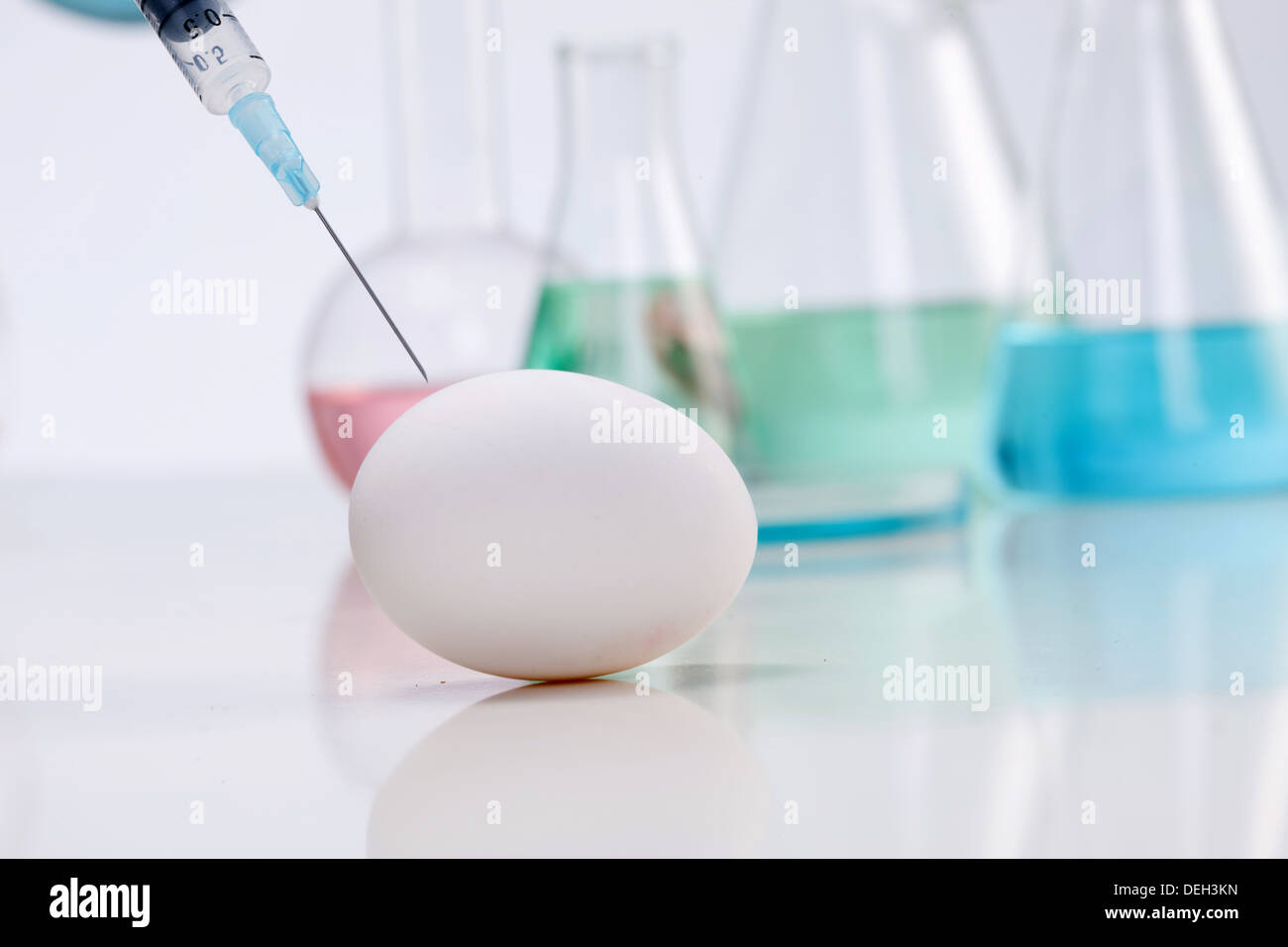 Scientist giving egg an injection by syringe Stock Photo - Alamy