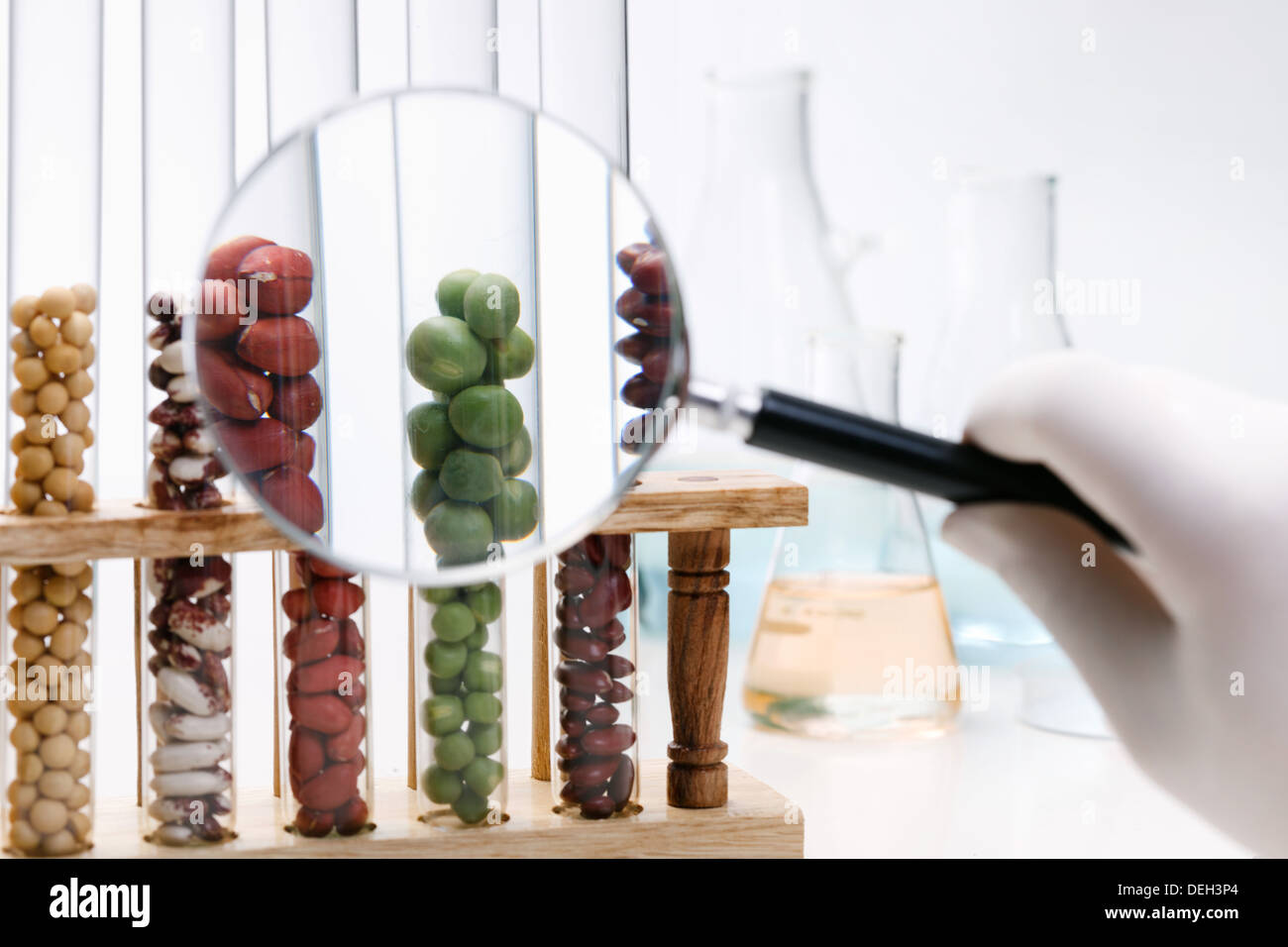 Grains in test tube in laboratory Stock Photo - Alamy