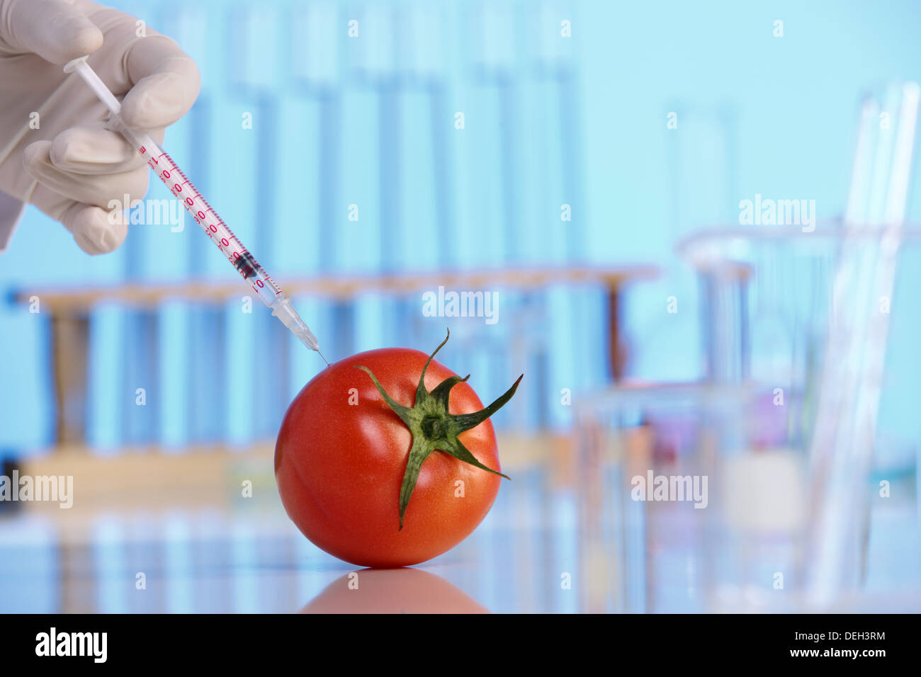 Scientist giving tomato an injection by syringe Stock Photo - Alamy