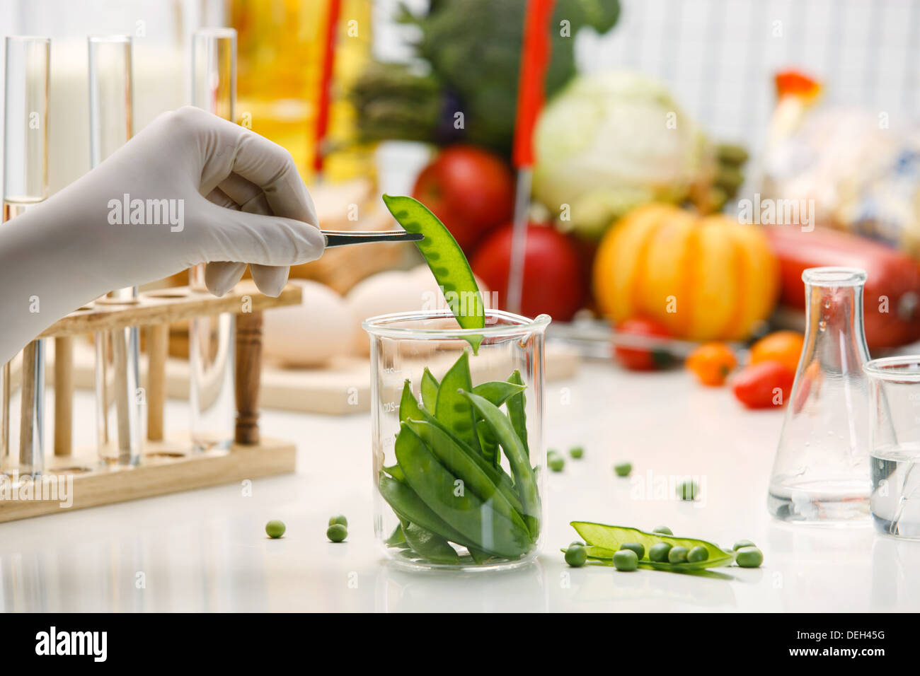 Food research hi-res stock photography and images - Alamy