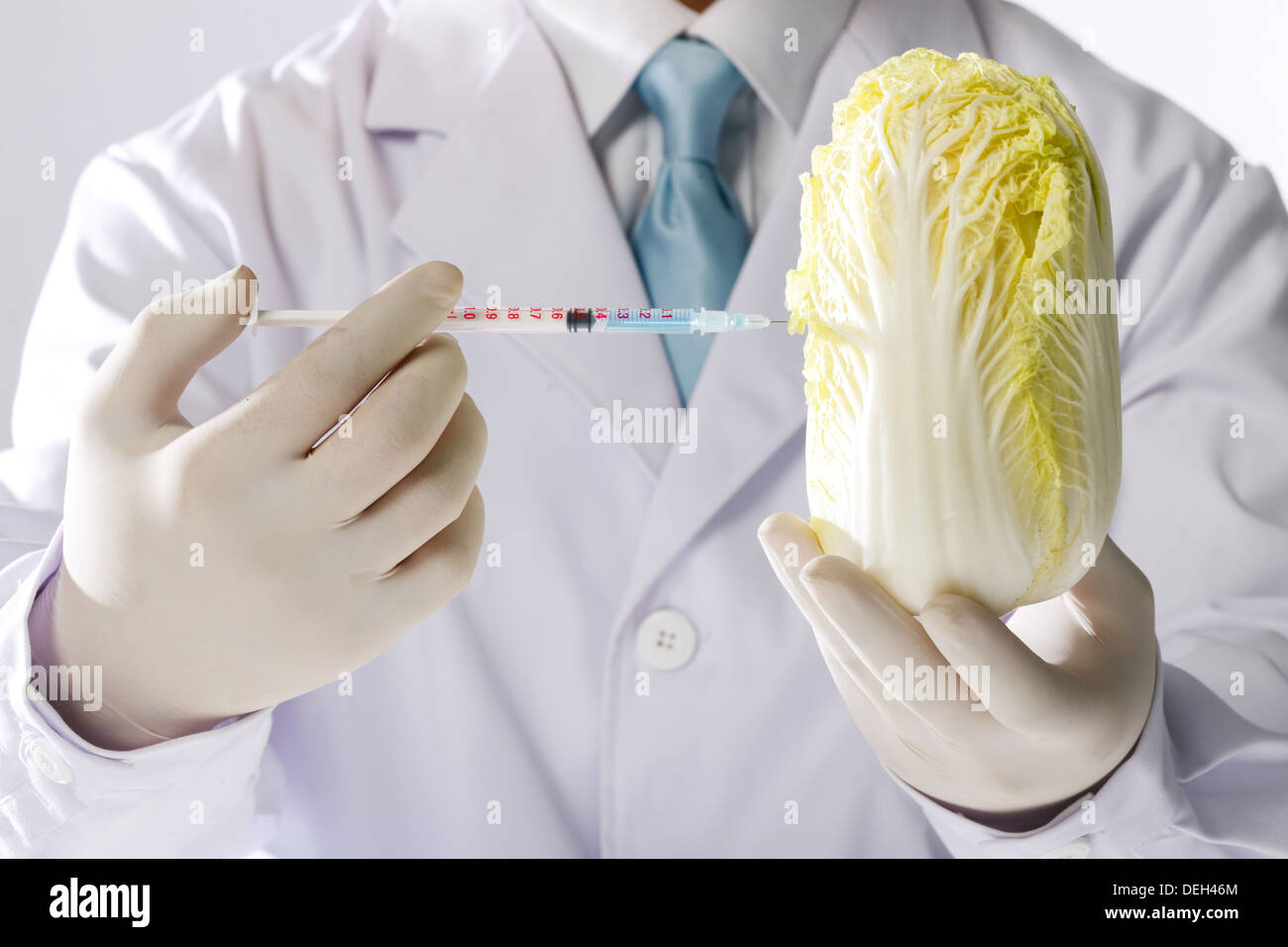 Scientist giving cabbage an injection Stock Photo - Alamy