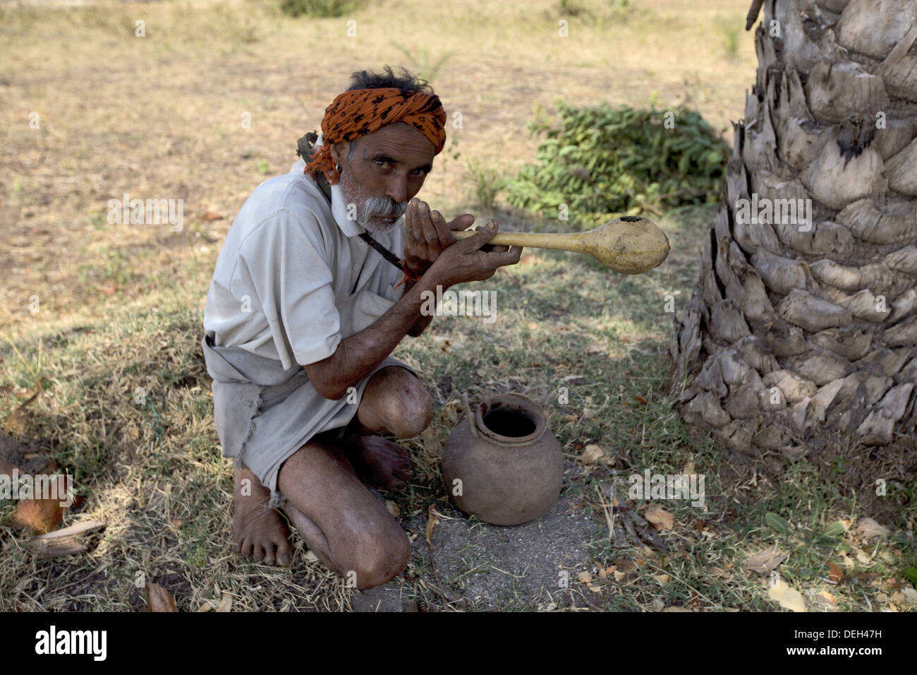 Man drinking toddy, Bhil tribe, Madhya Pradesh, Chada near Mandala ... Man drinking toddy, Bhil tribe, Madhya Pradesh, Chada near Mandala ...