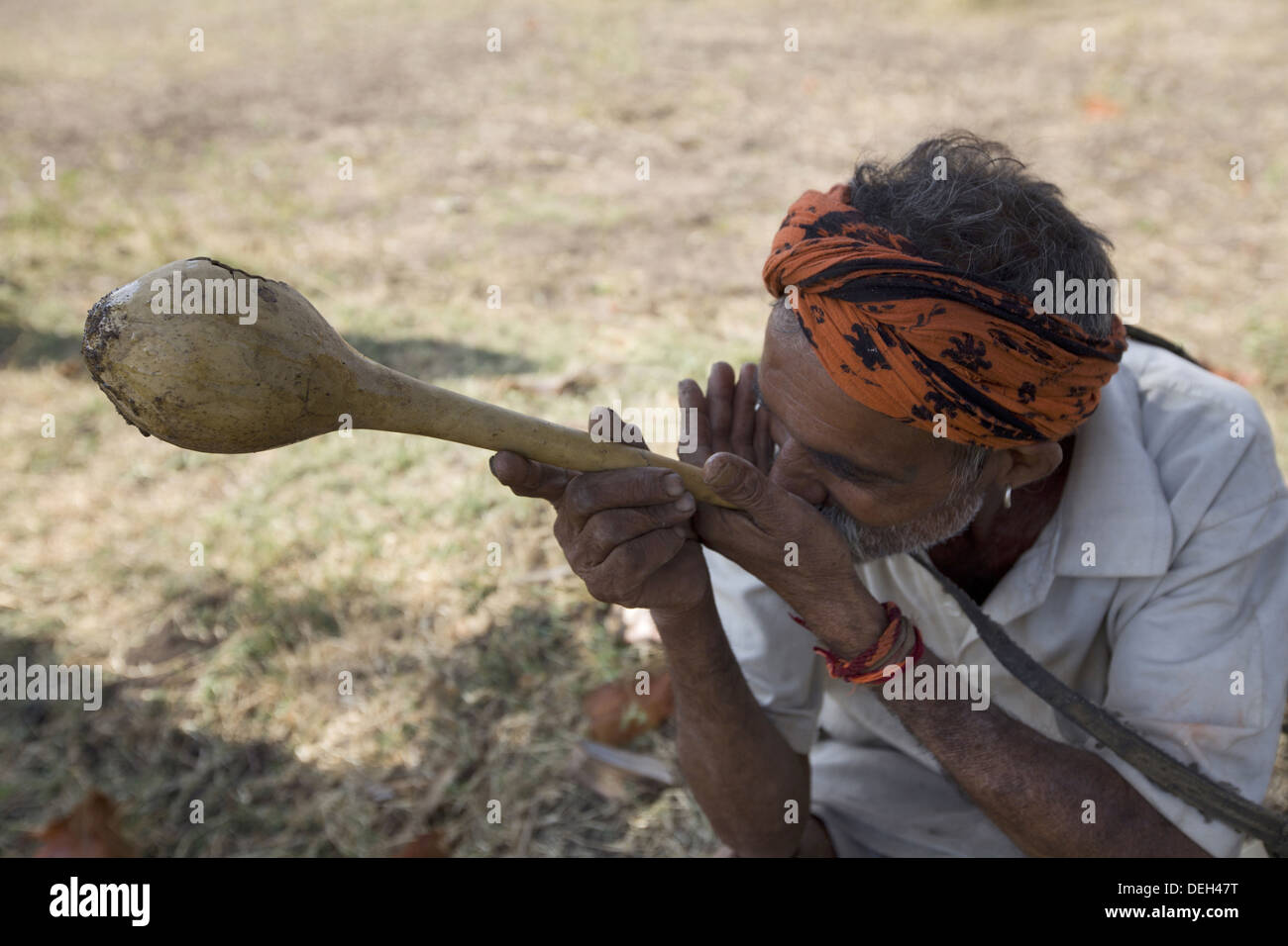 Palm toddy drink hi-res stock photography and images - Alamy