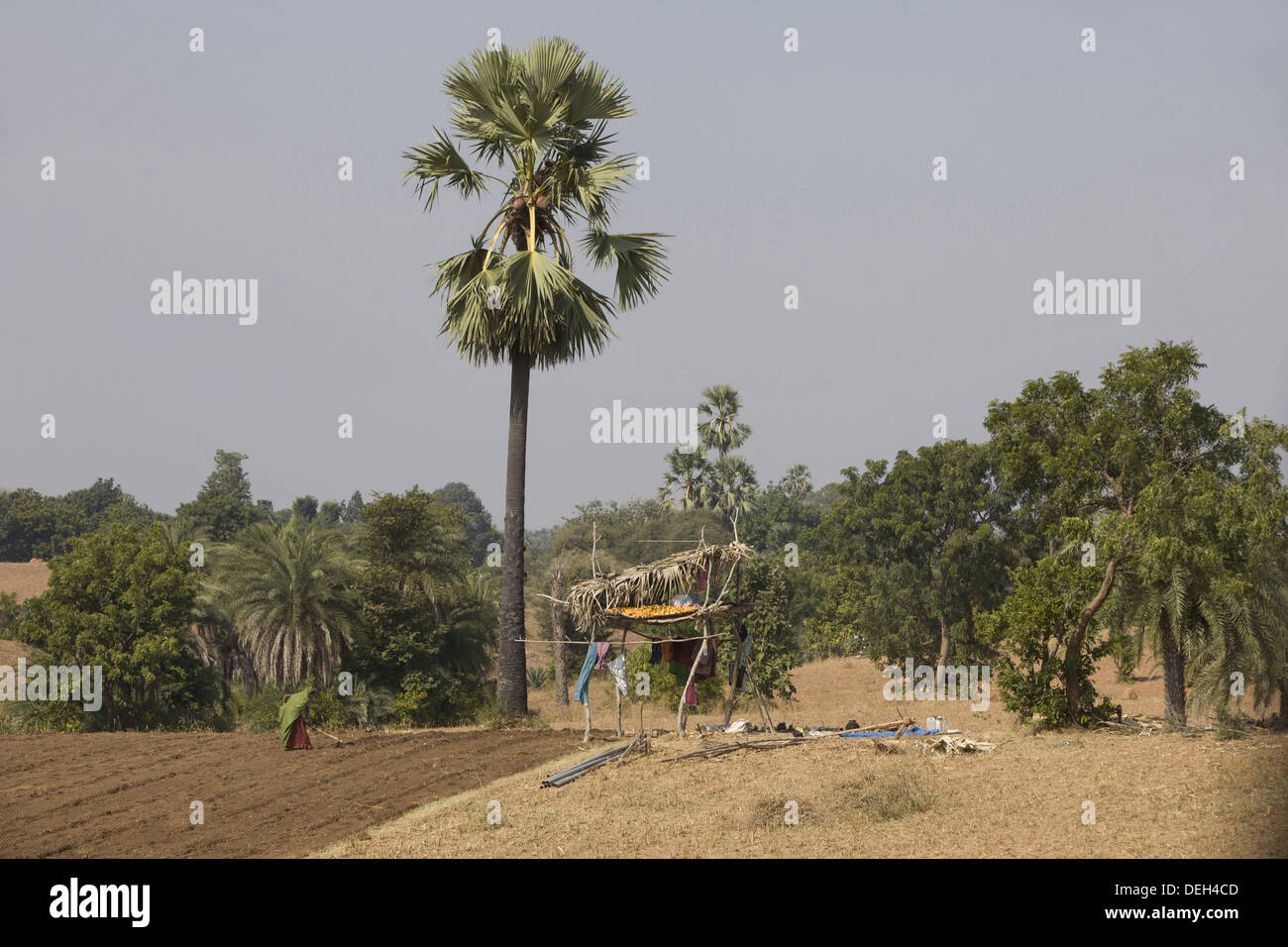 Village landscape, Madhya Pradesh, Chada near Mandala district, India ...