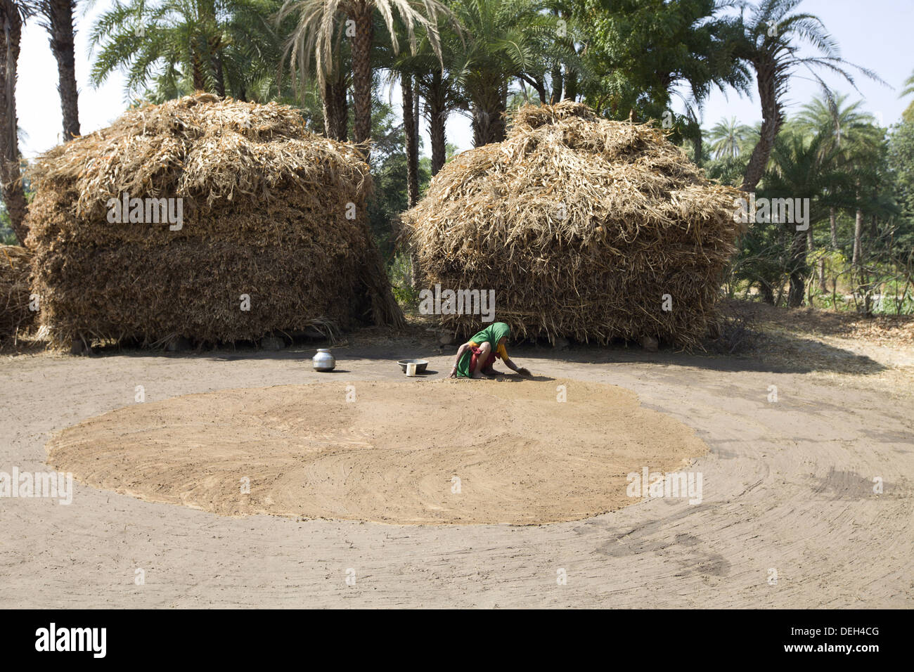 Woman smearing cow dung, Madhya Pradesh, Chada near Mandala district ...
