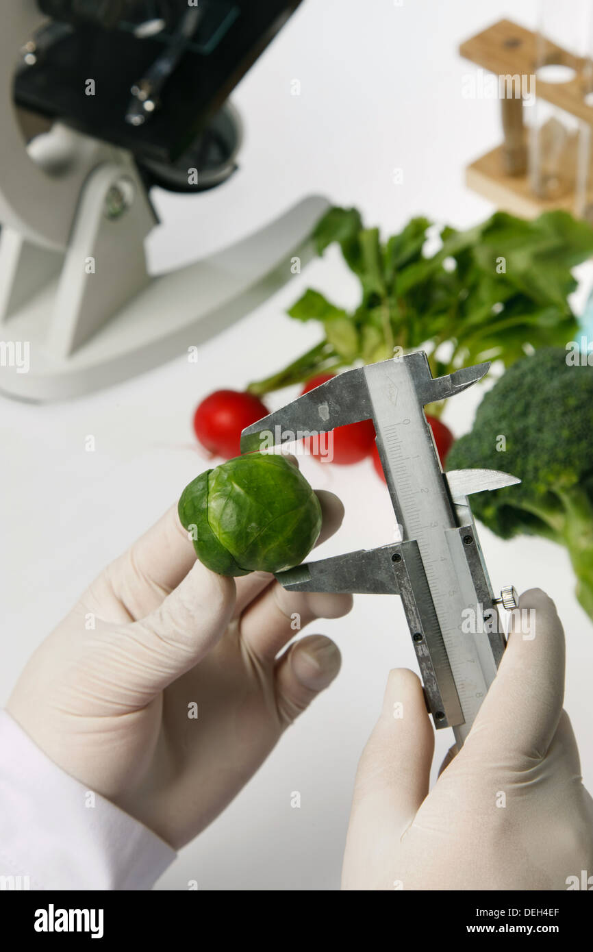 Leaf science measuring hi-res stock photography and images - Alamy