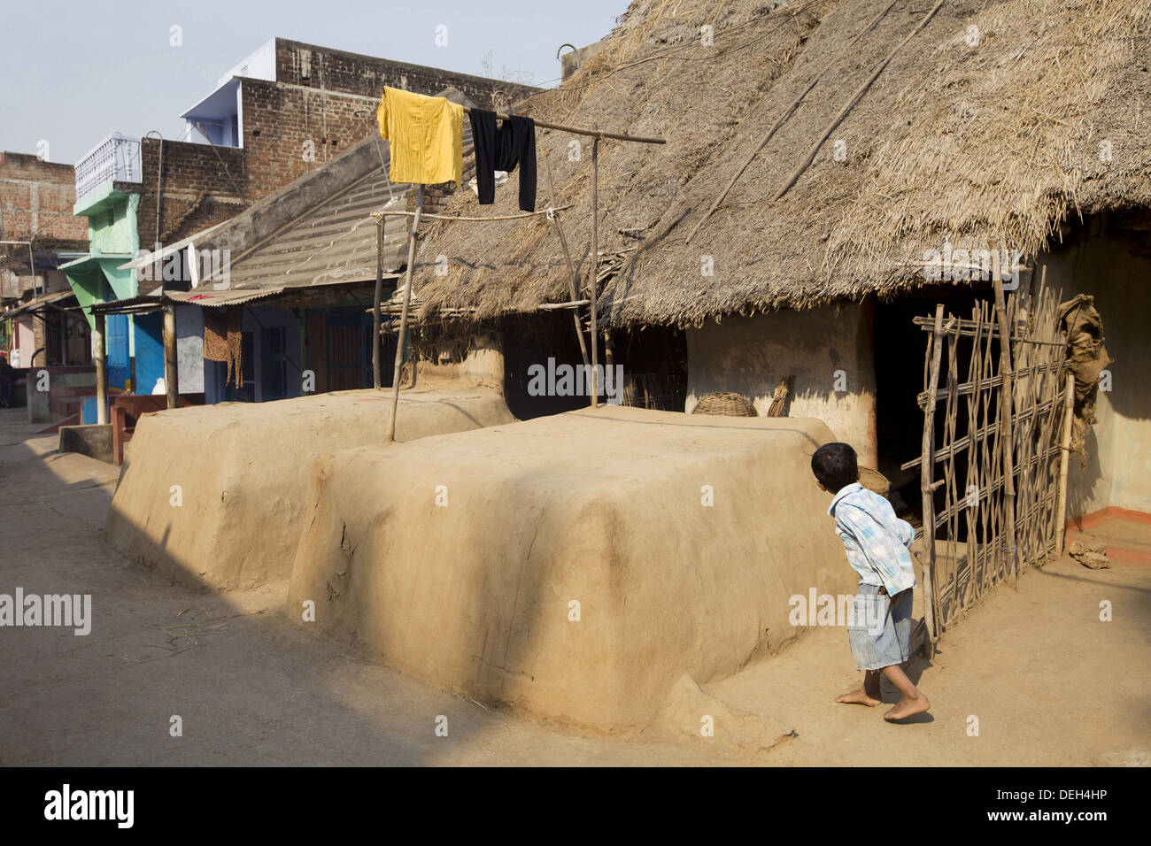 Tribal hut with grain storage, Orissa, India Stock Photo - Alamy