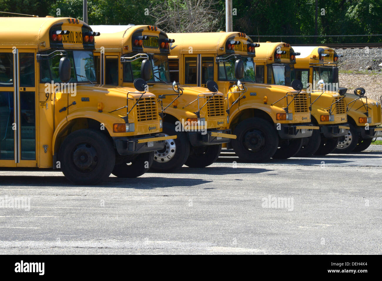 Line of parked school buses Stock Photo - Alamy