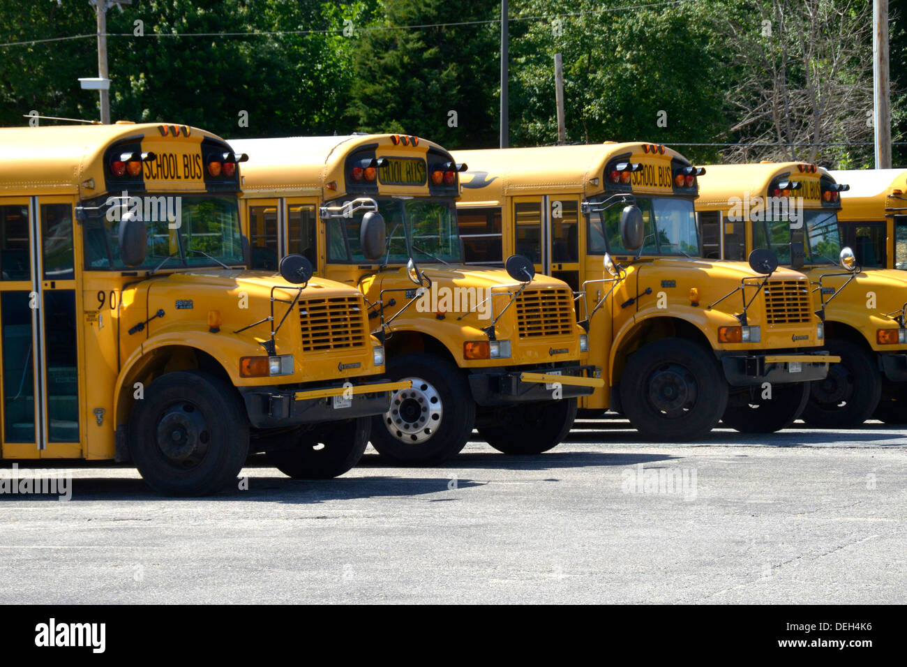 Line of parked school buses Stock Photo - Alamy