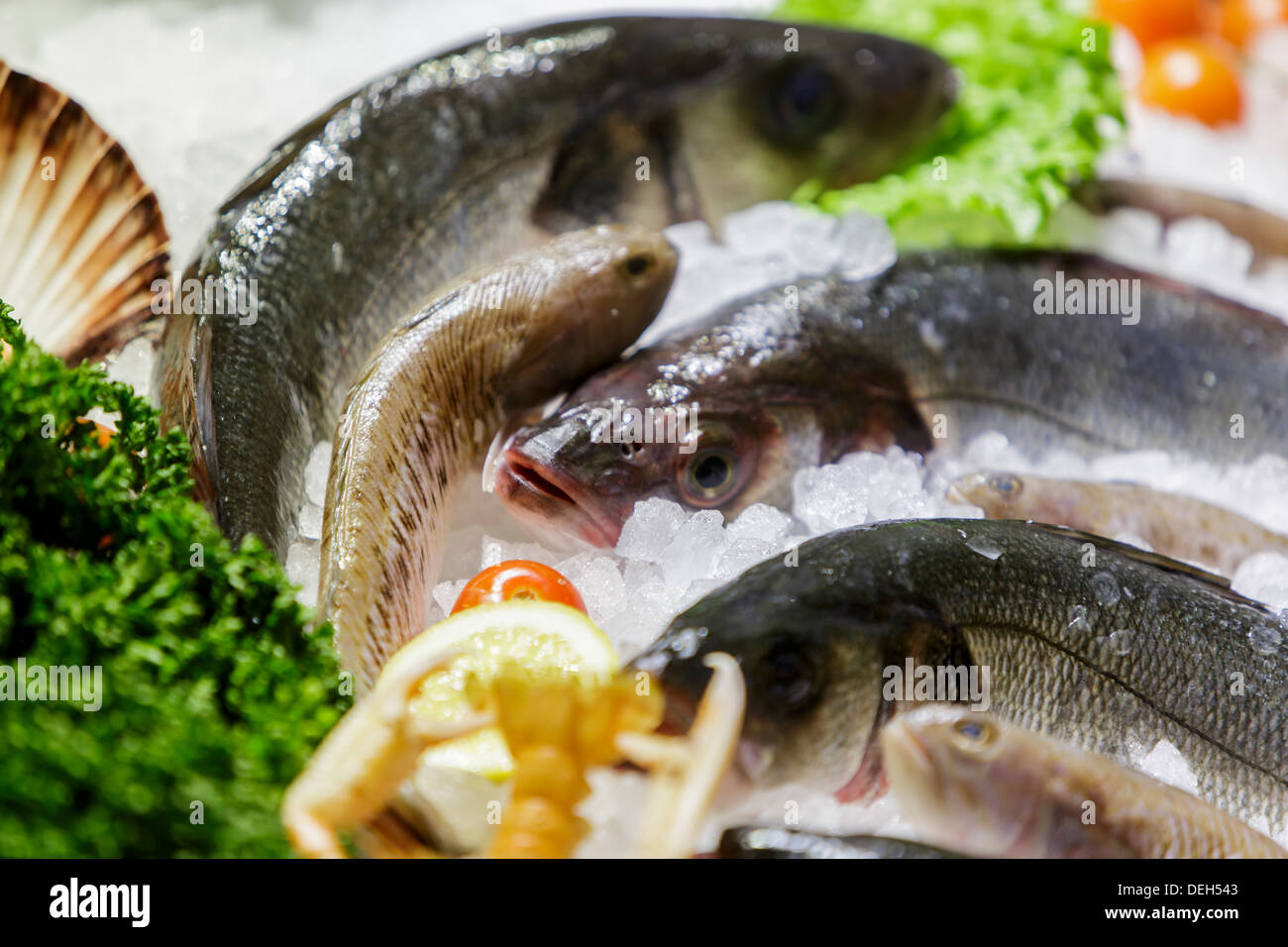 Choice seafood hi-res stock photography and images - Alamy
