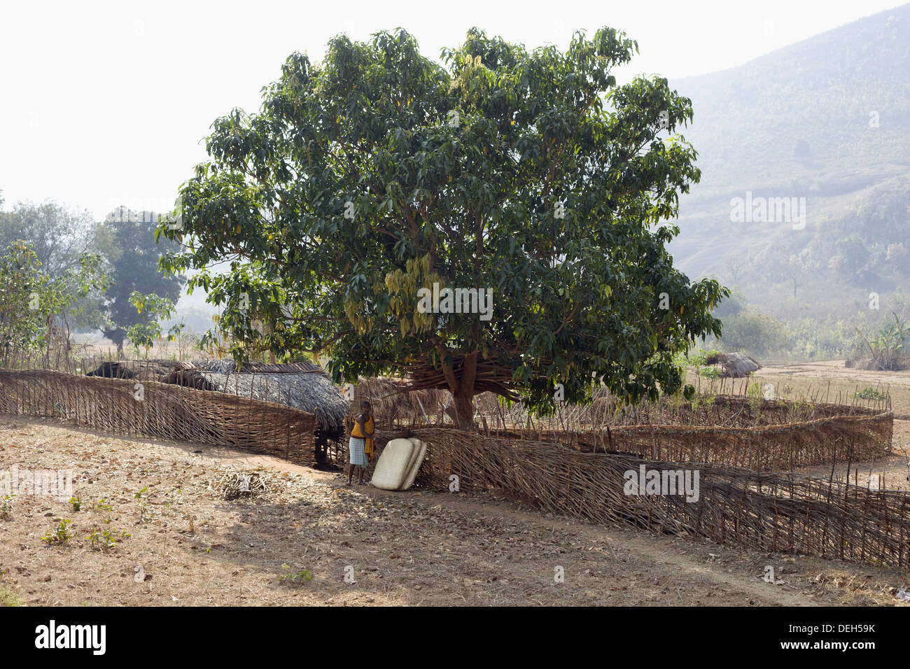 Village hut tree hi-res stock photography and images - Alamy