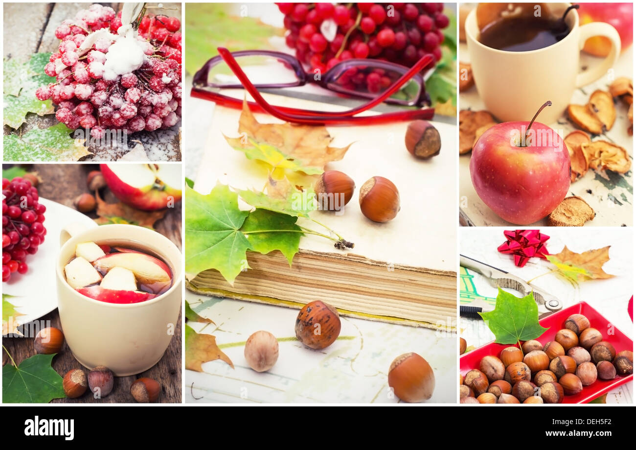 autumn collage their fruits and berries Stock Photo - Alamy