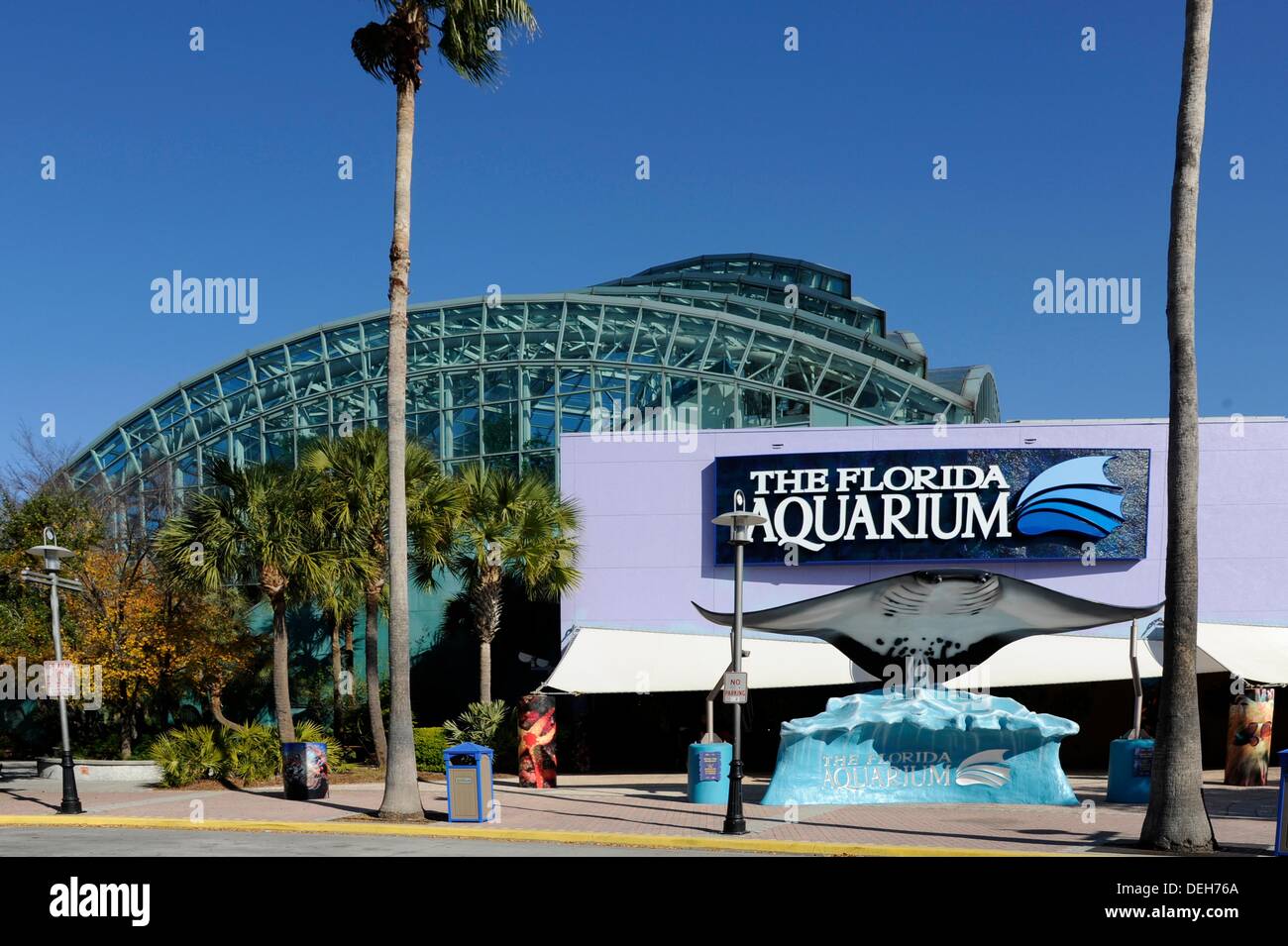 Tampa florida aquarium hi-res stock photography and images - Alamy