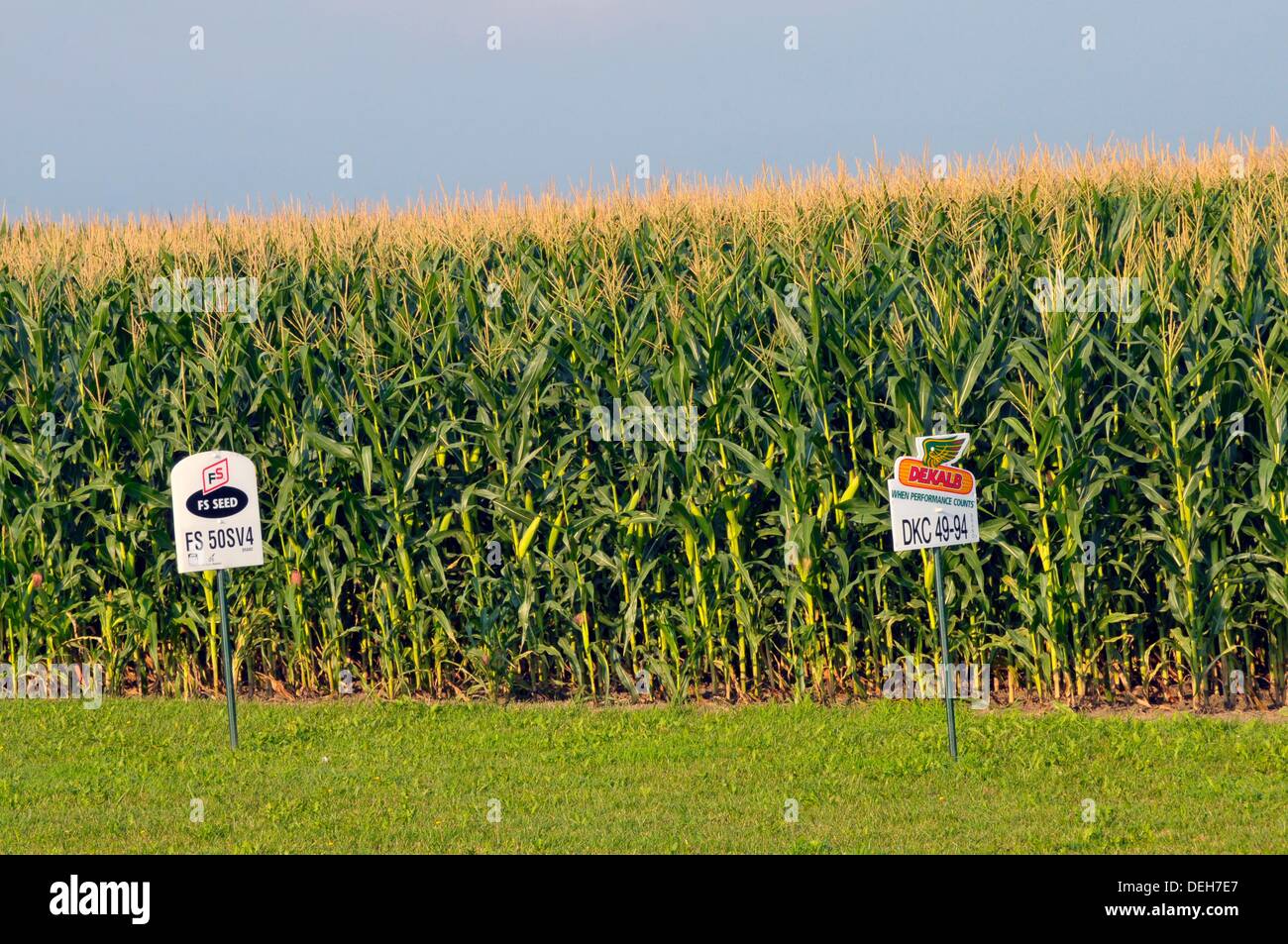 Agriculture iowa alfalfa hi-res stock photography and images - Alamy
