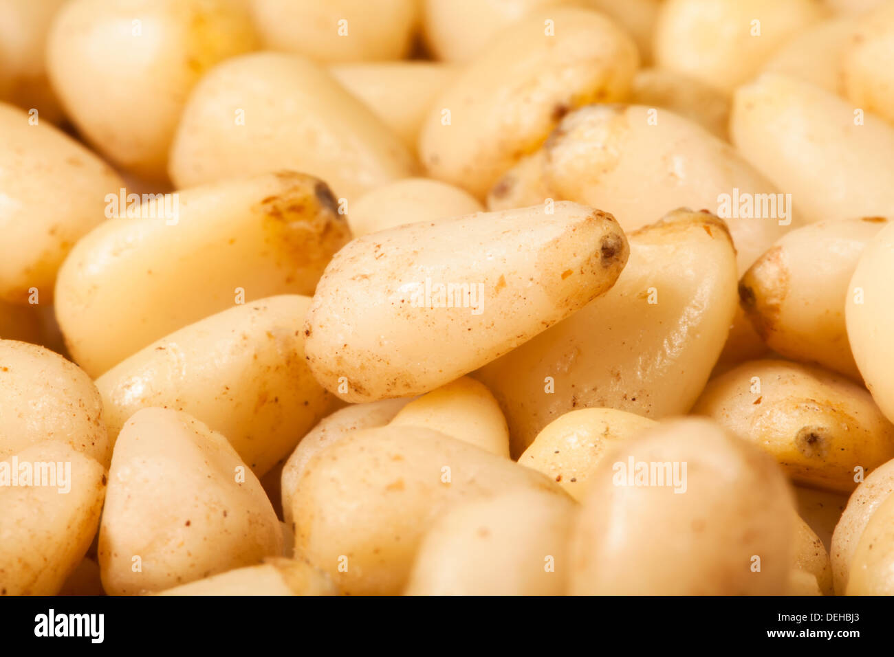 pine nuts macro closeup seeds many Stock Photo - Alamy