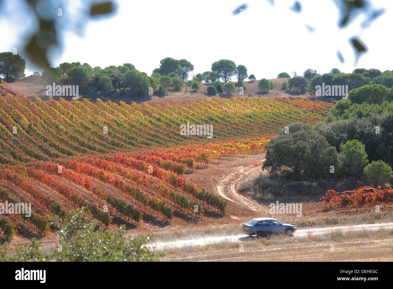 Zamora toro landscape hi-res stock photography and images - Alamy