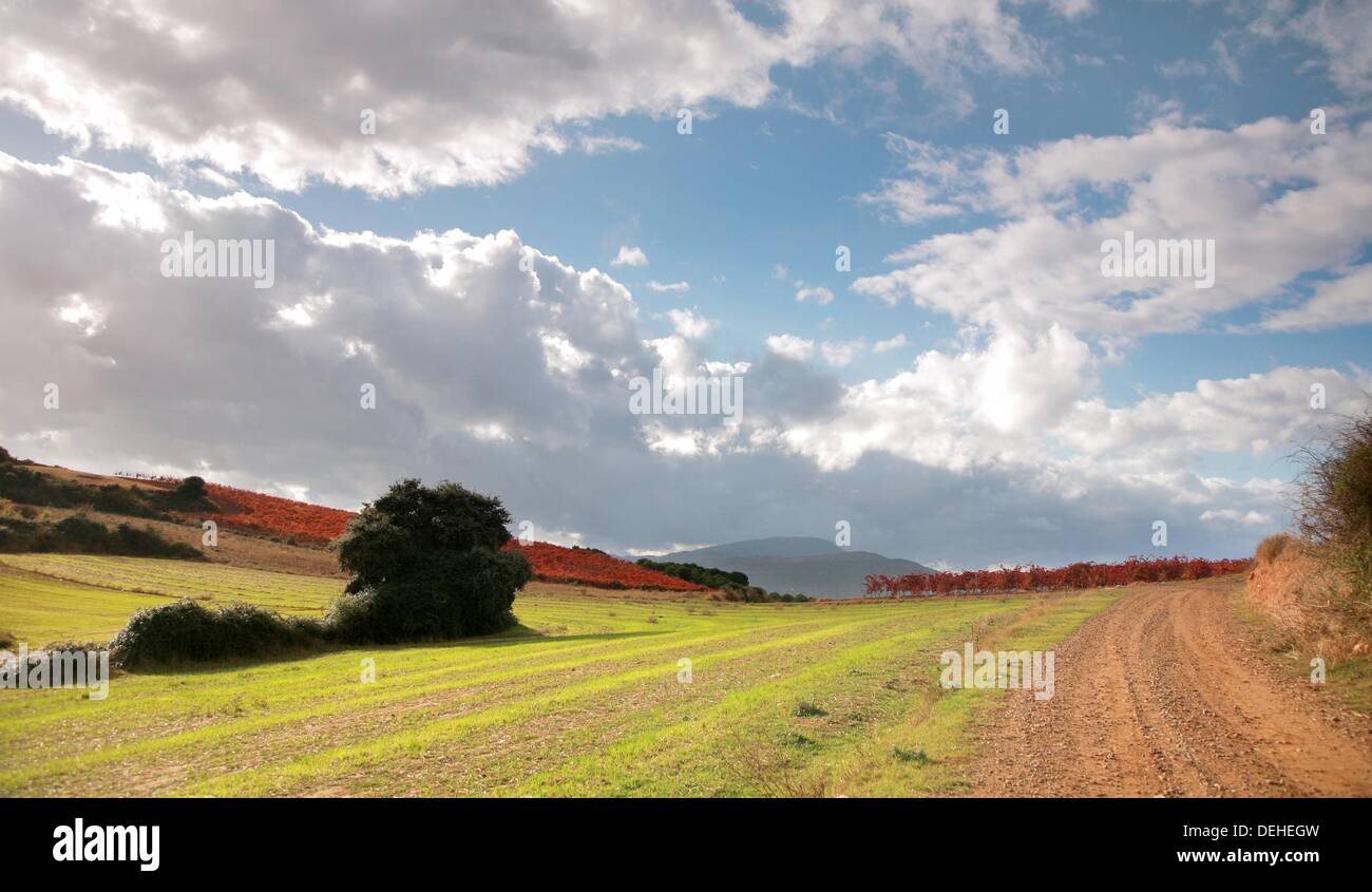 Ocon Valley High Resolution Stock Photography and Images - Alamy