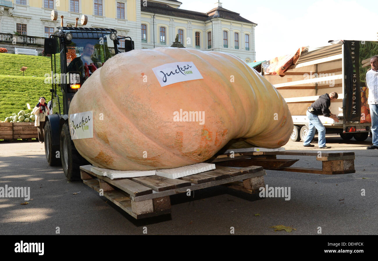 Ludwigsburg, Germany. 19th Sep, 2013. The heaviest pumpkin ever weighed ...