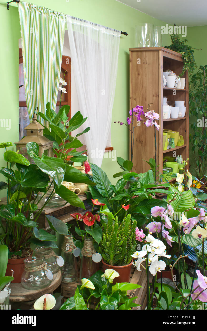 Florist shop interior hi-res stock photography and images - Alamy