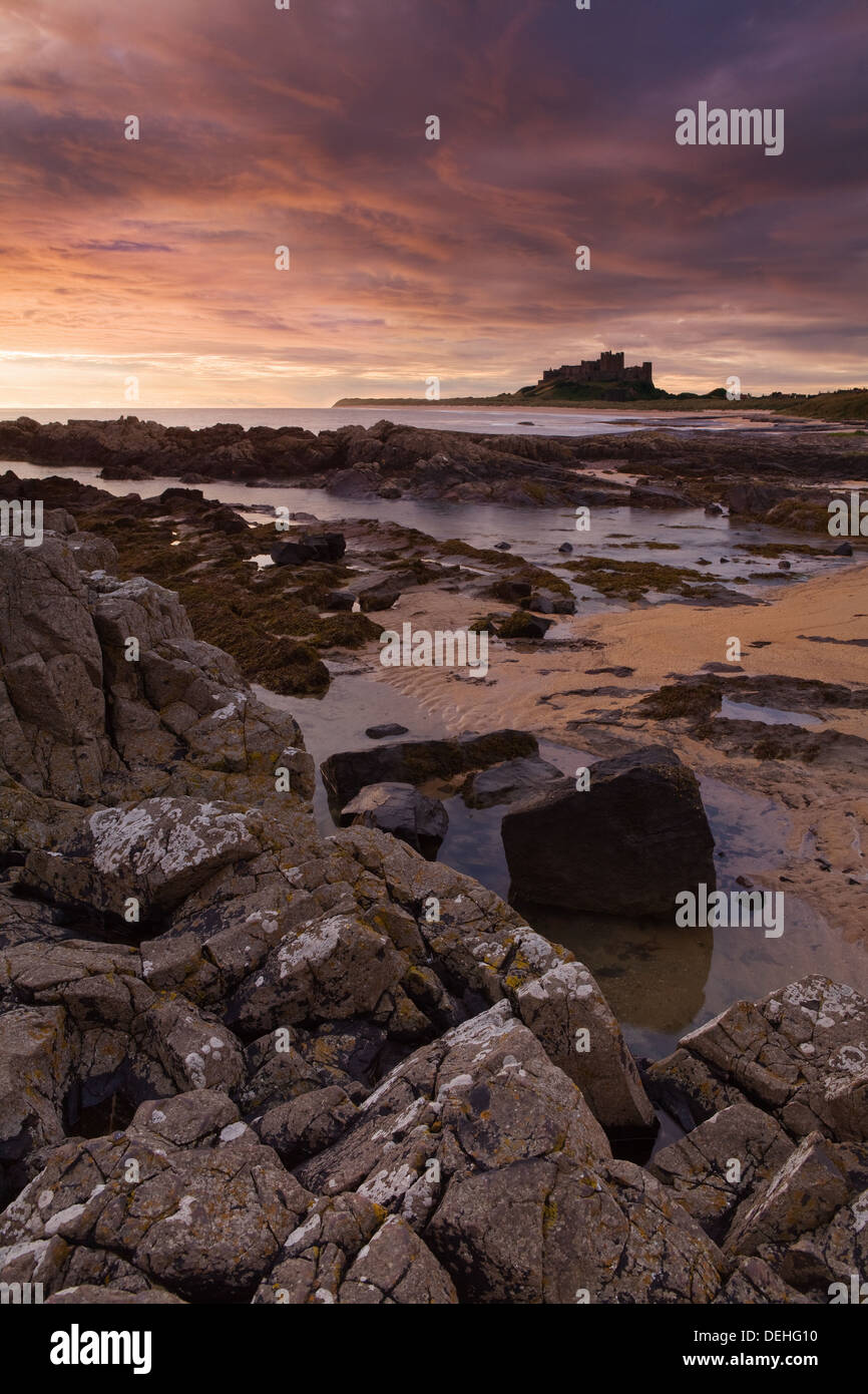 Stag rock bamburgh hi-res stock photography and images - Alamy