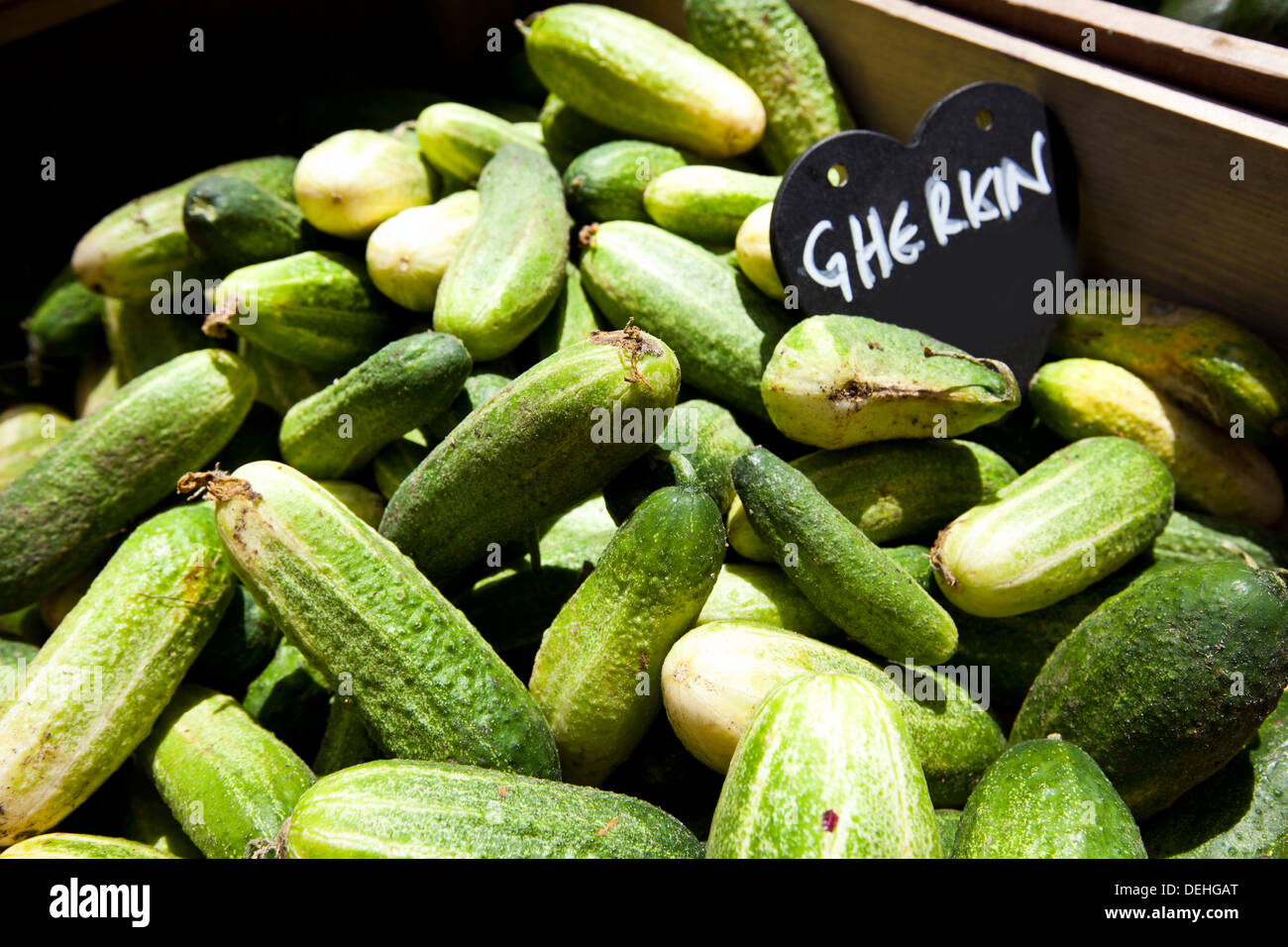 Close up of gherkins Stock Photo - Alamy