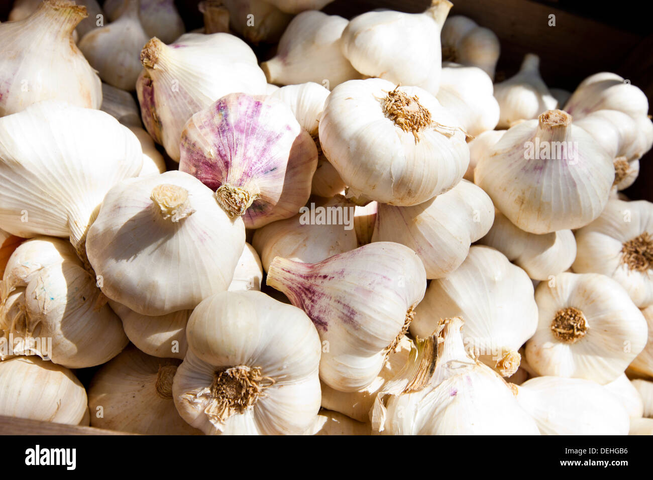 Garlic world hi-res stock photography and images - Alamy