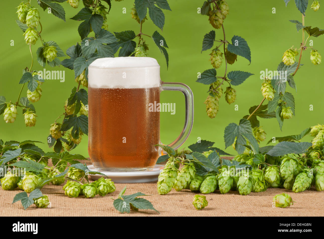 beer and raw material for beer production Stock Photo - Alamy