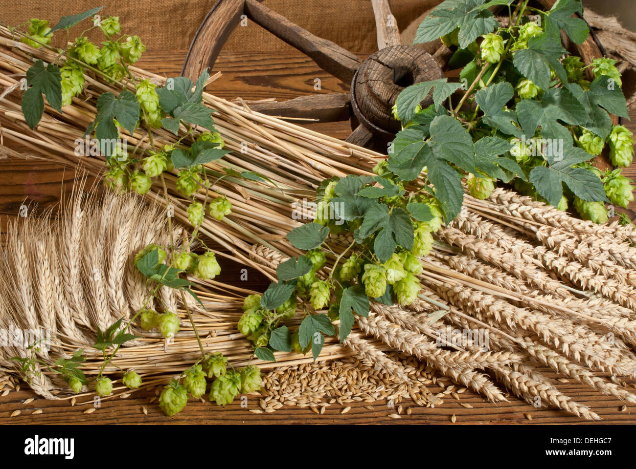 raw material for beer production Stock Photo - Alamy