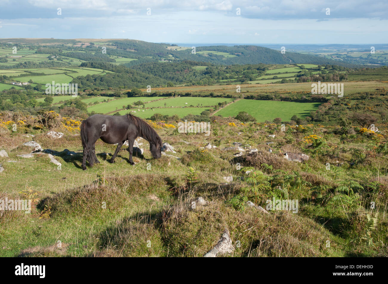 Poundsgate hi-res stock photography and images - Alamy