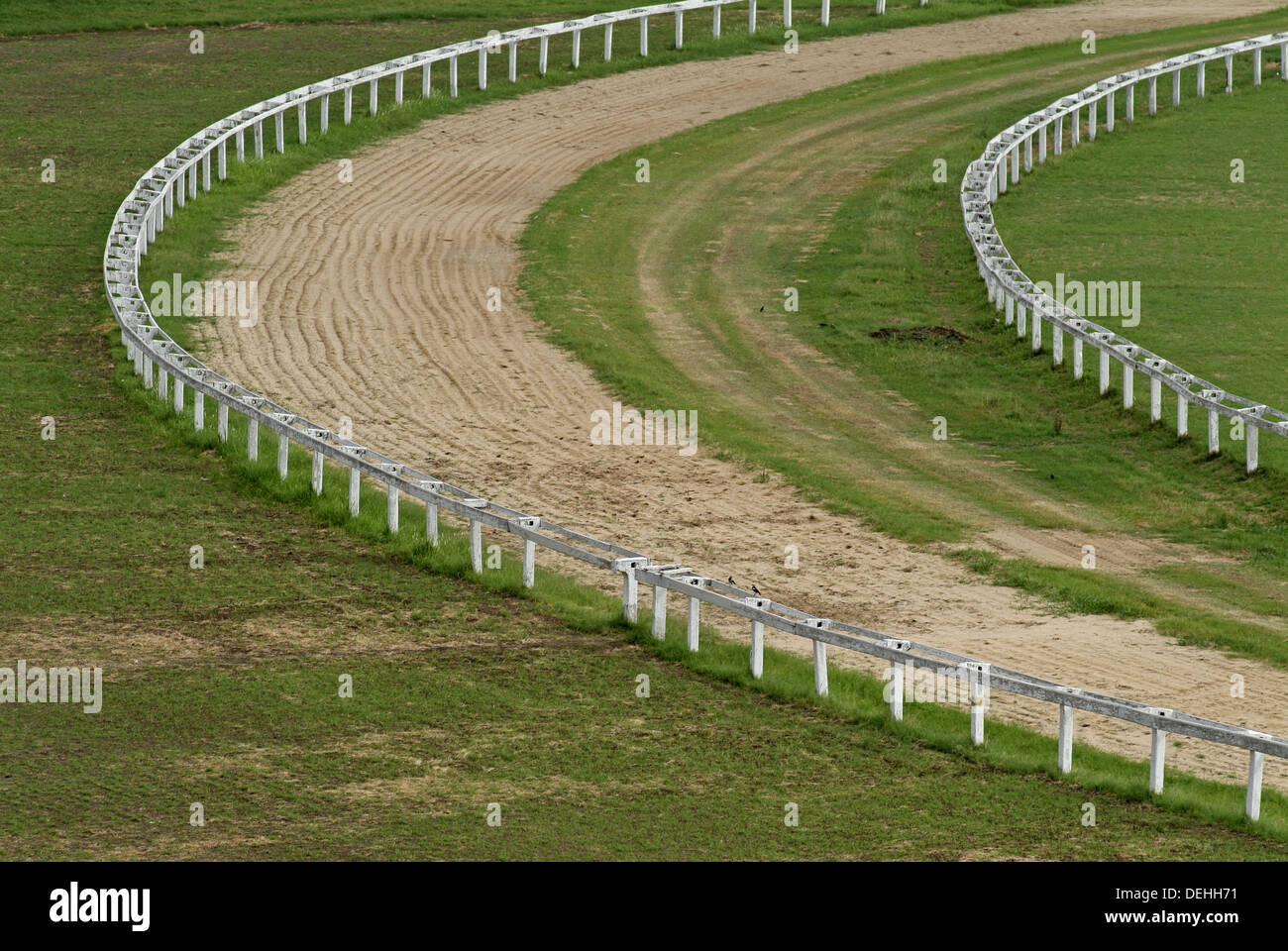 India horse racing hi-res stock photography and images - Alamy