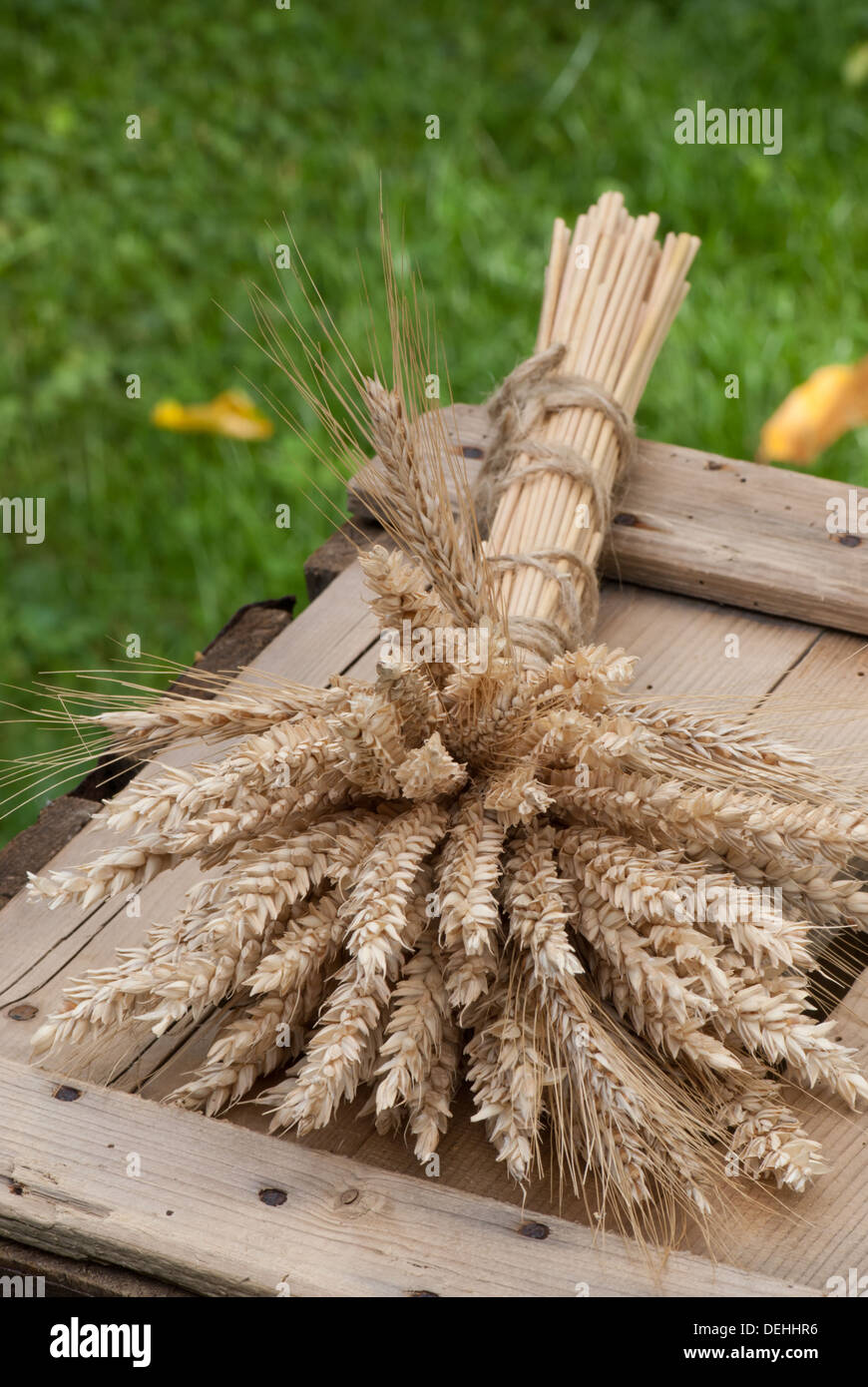 Wheat sheaf hi-res stock photography and images - Alamy