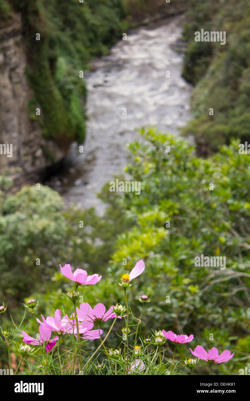 Purple river hi-res stock photography and images - Alamy