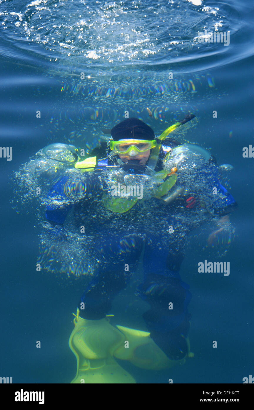 Diver on ascent hi-res stock photography and images - Alamy