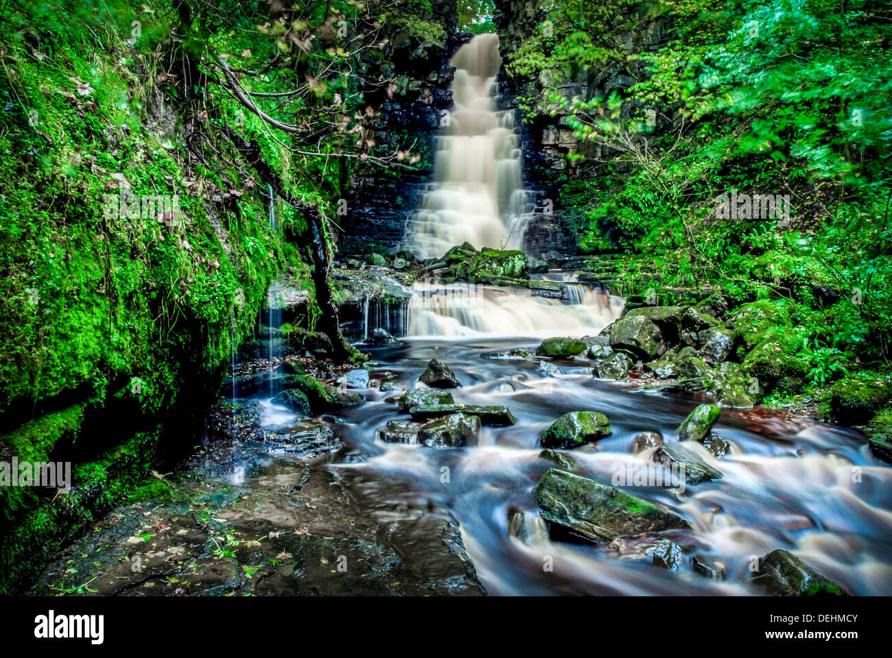 Mill Gill Force waterfall near Askrigg, Yorkshire Stock Photo - Alamy