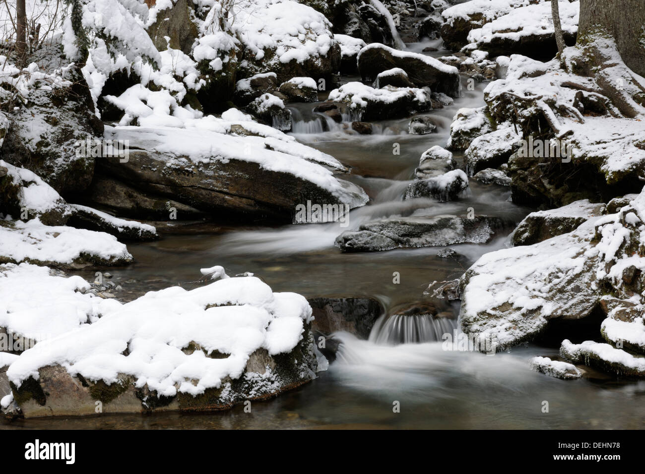 Mountain stream with small waterfalls in winter Stock Photo - Alamy