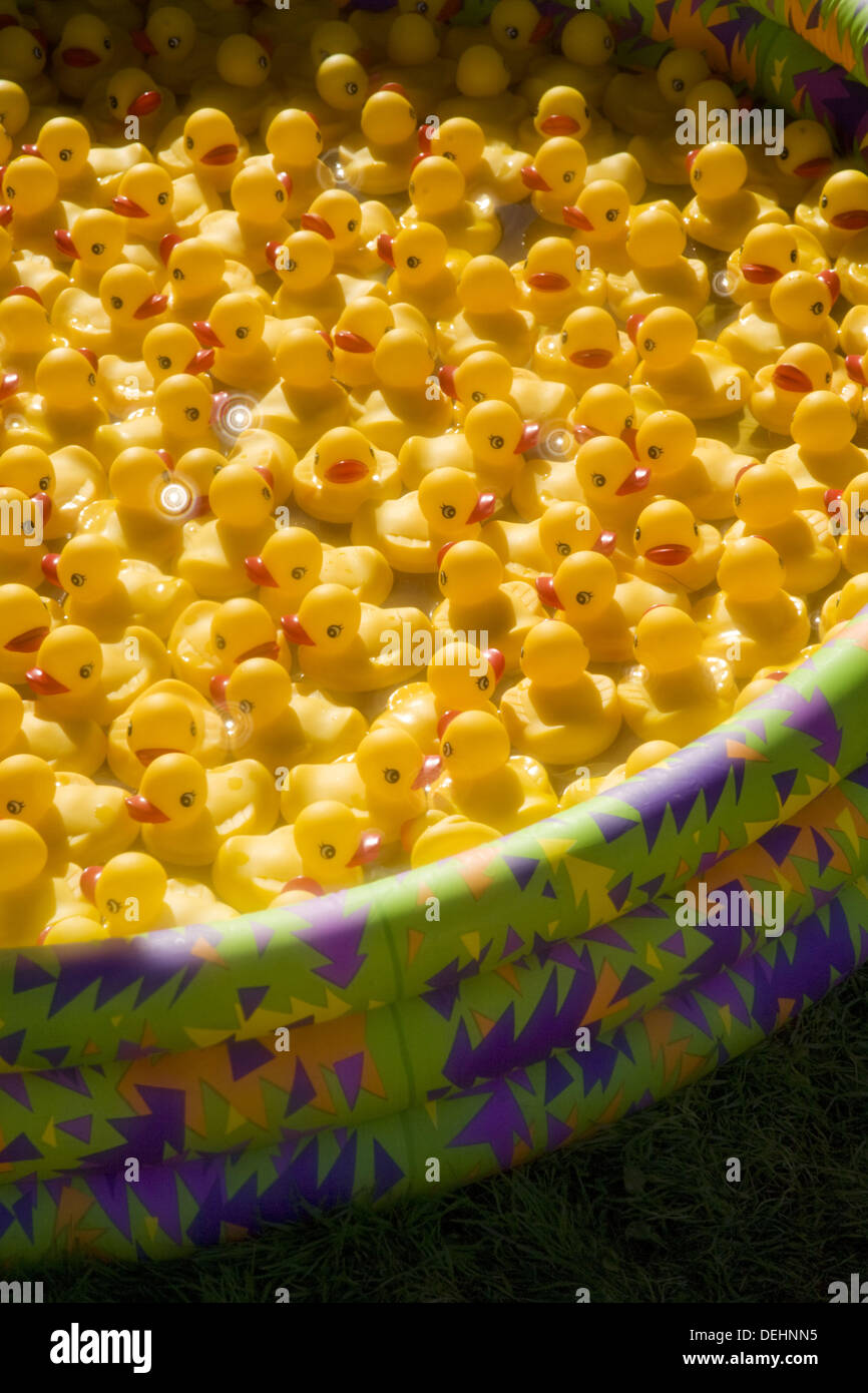 Rubber ducks floating in water at a carnival game booth Stock Photo - Alamy