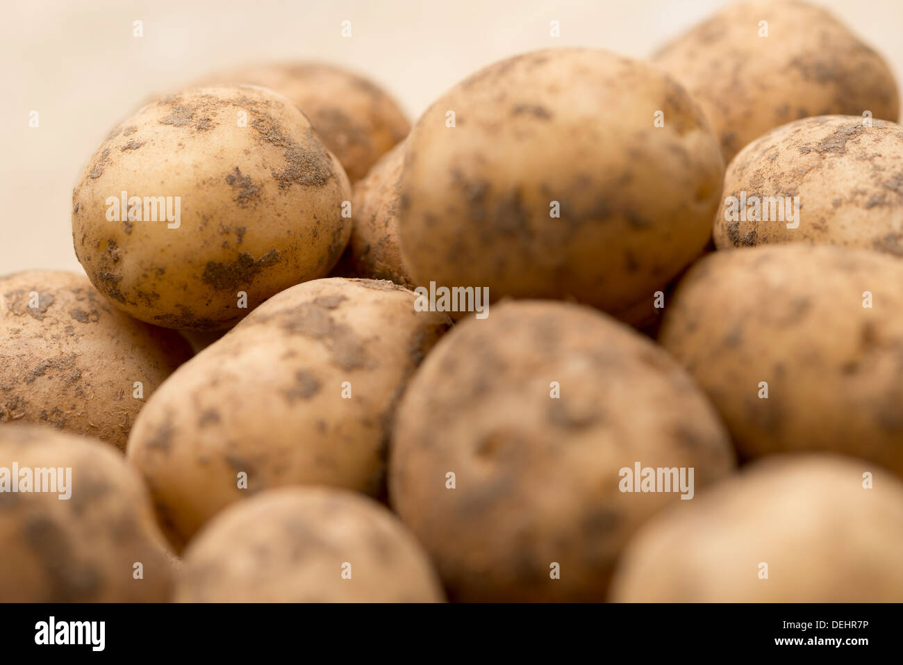 Aesthetic potatoes hi-res stock photography and images - Alamy