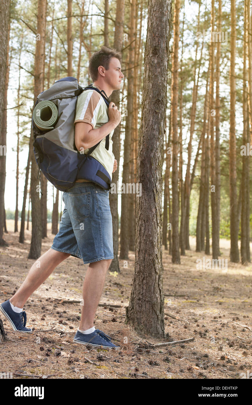 Full length side view male hiker with backpack walking forest Stock ...