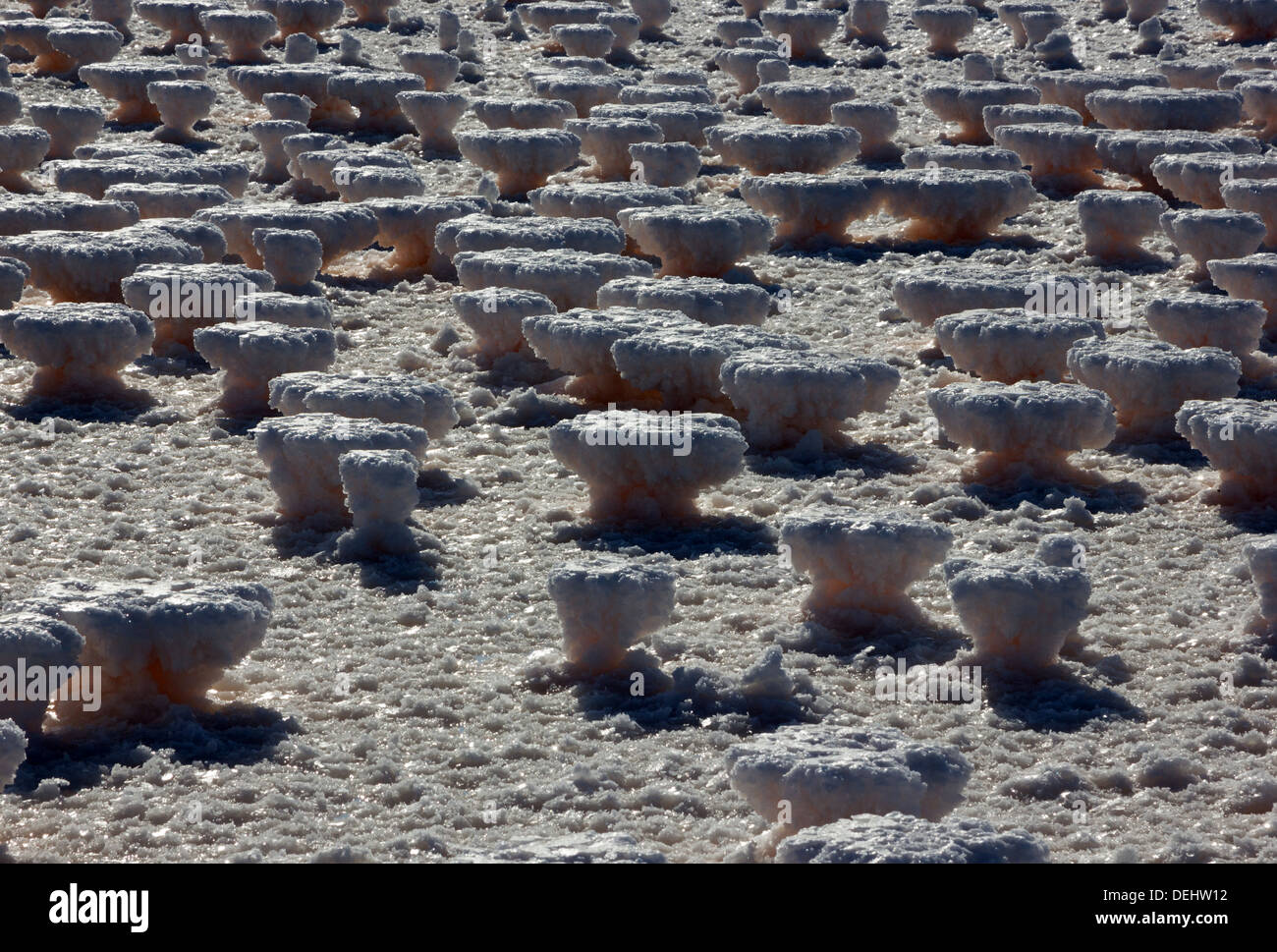 Salt Pan with salt pillars Stock Photo - Alamy