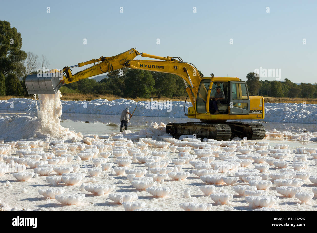 Workers harvesting salt Stock Photo - Alamy