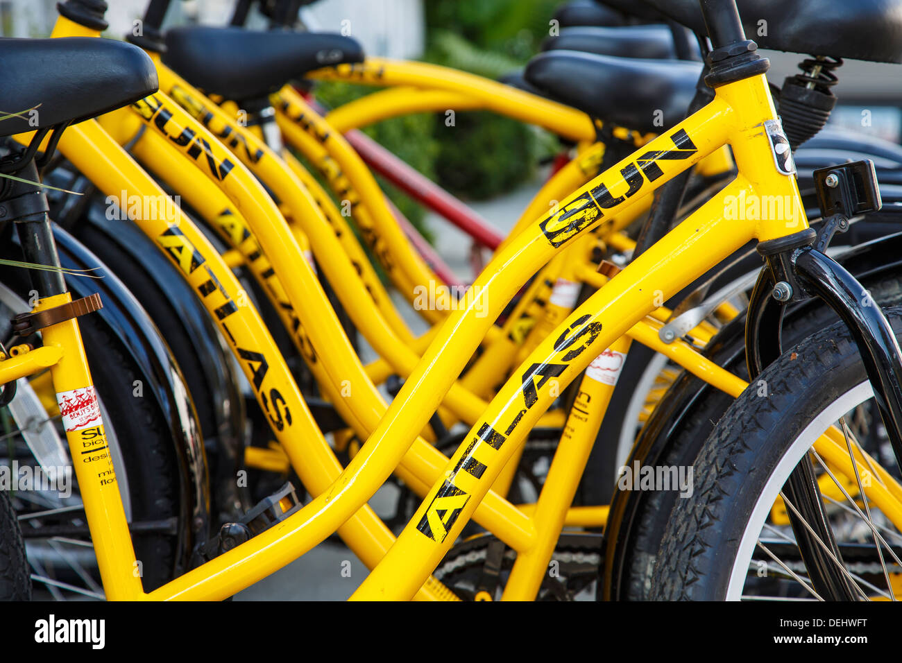 Rows of bright yellow bikes with black seats Stock Photo - Alamy