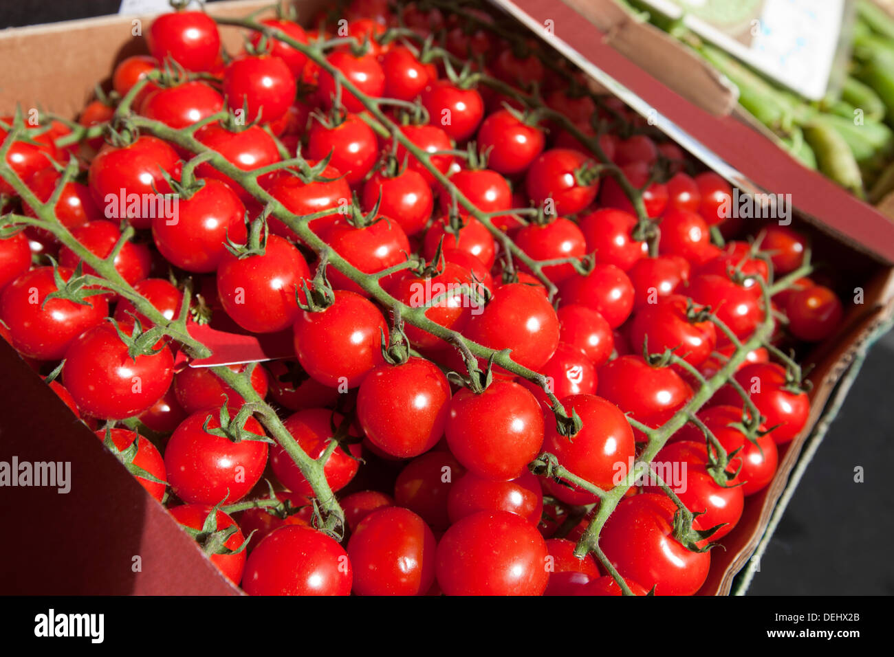 Fresh tomatoes on display store Stock Photo - Alamy